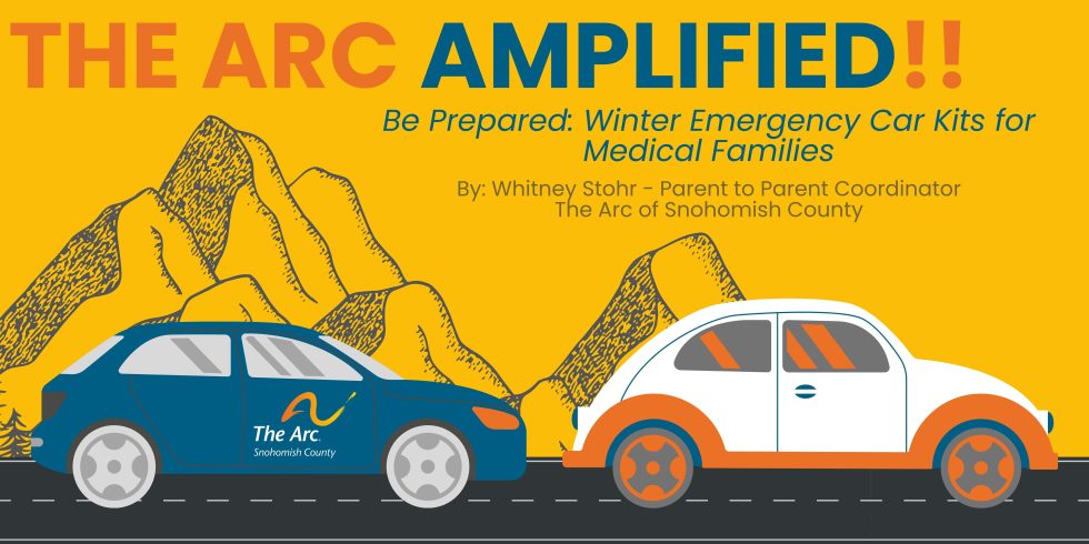 Be Prepared: Winter Emergency Car Kits for Medical Families | The Arc ...