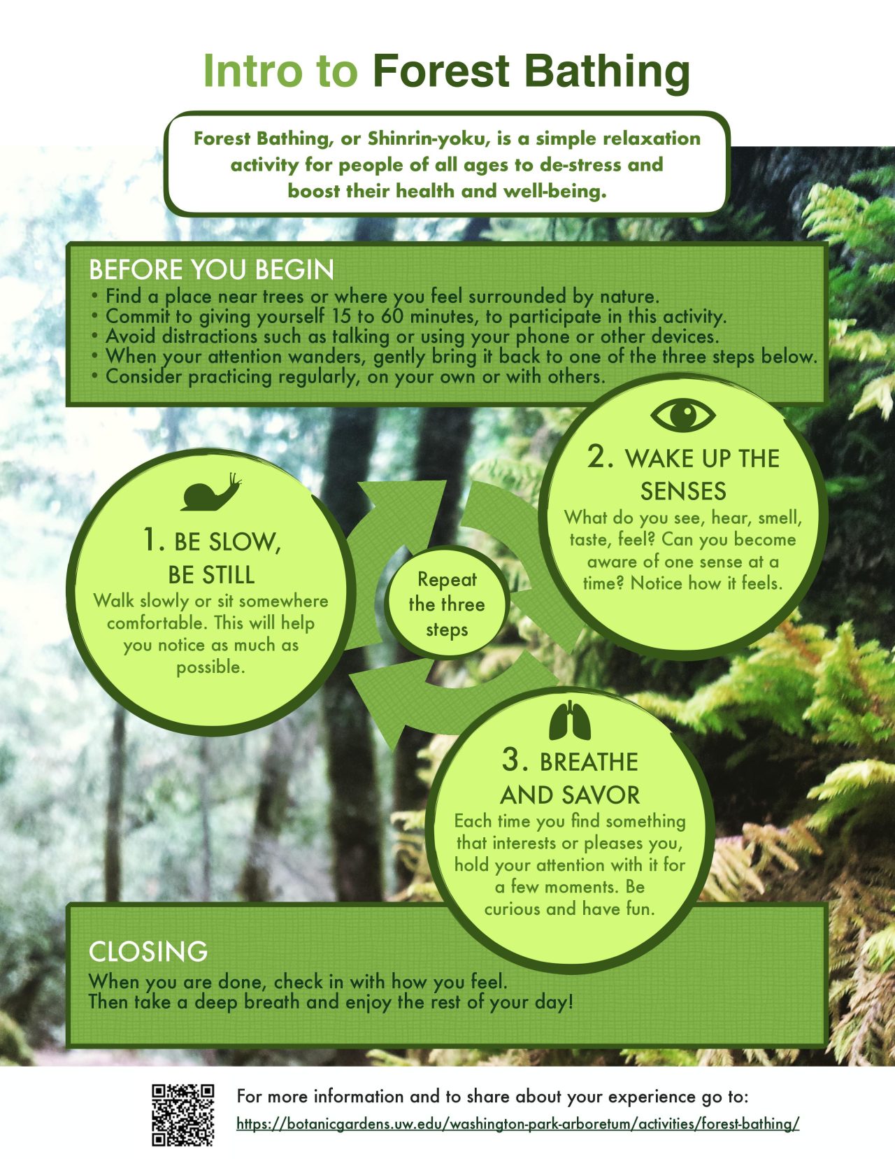 FOREST BATHING | The Arc of Snohomish County